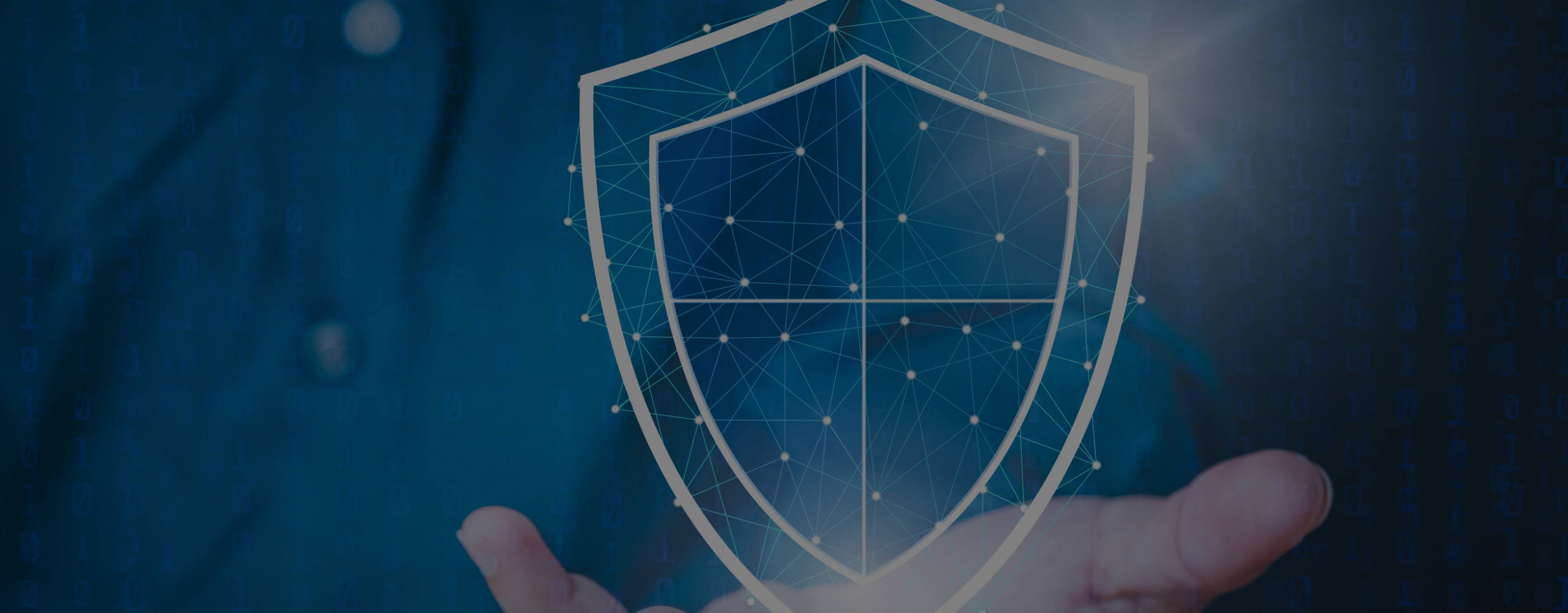 Preservation Strategies | Retirement Protection Solutions